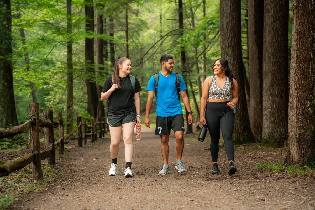 Parks & Forests in Pennsylvania's Laurel Highlands