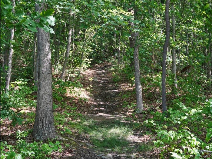 49 of the best hiking trails in the US to visit in your lifetime