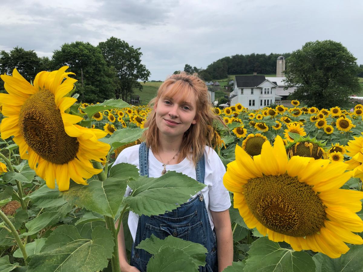 Sunflower Maze at Maple Bottom Farm