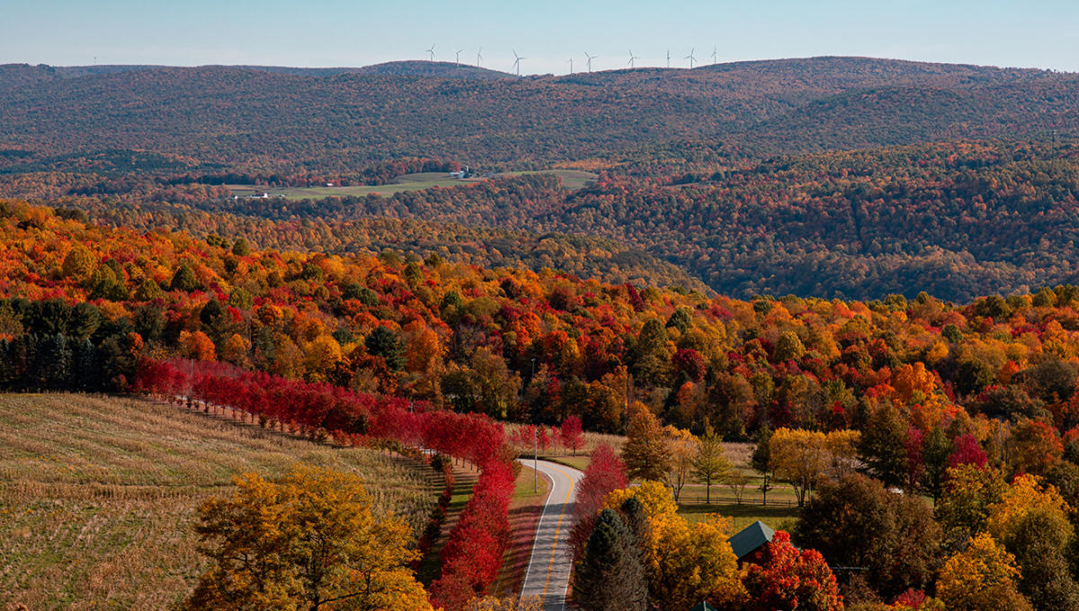 Top U.S. 10 Fall Foliage Destination | Laurel Highlands