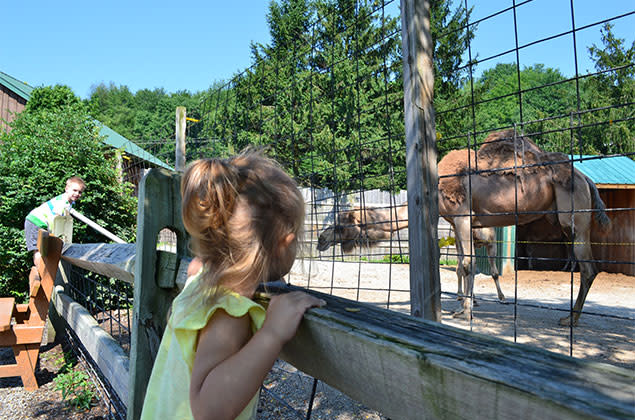 Special Children’s Plein Air Workshop at Living Treasures Wild Animal Park