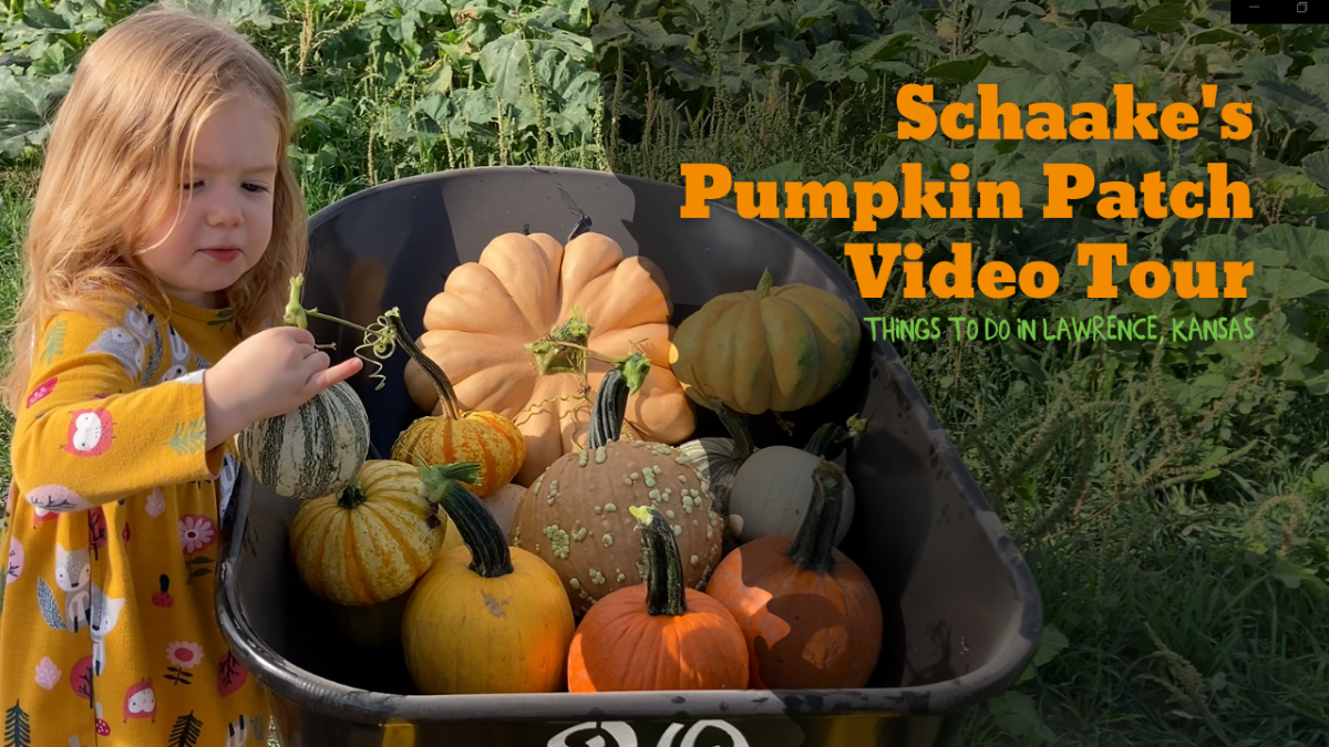 Explore Schaake's Pumpkin Patch in Lawrence, Kansas
