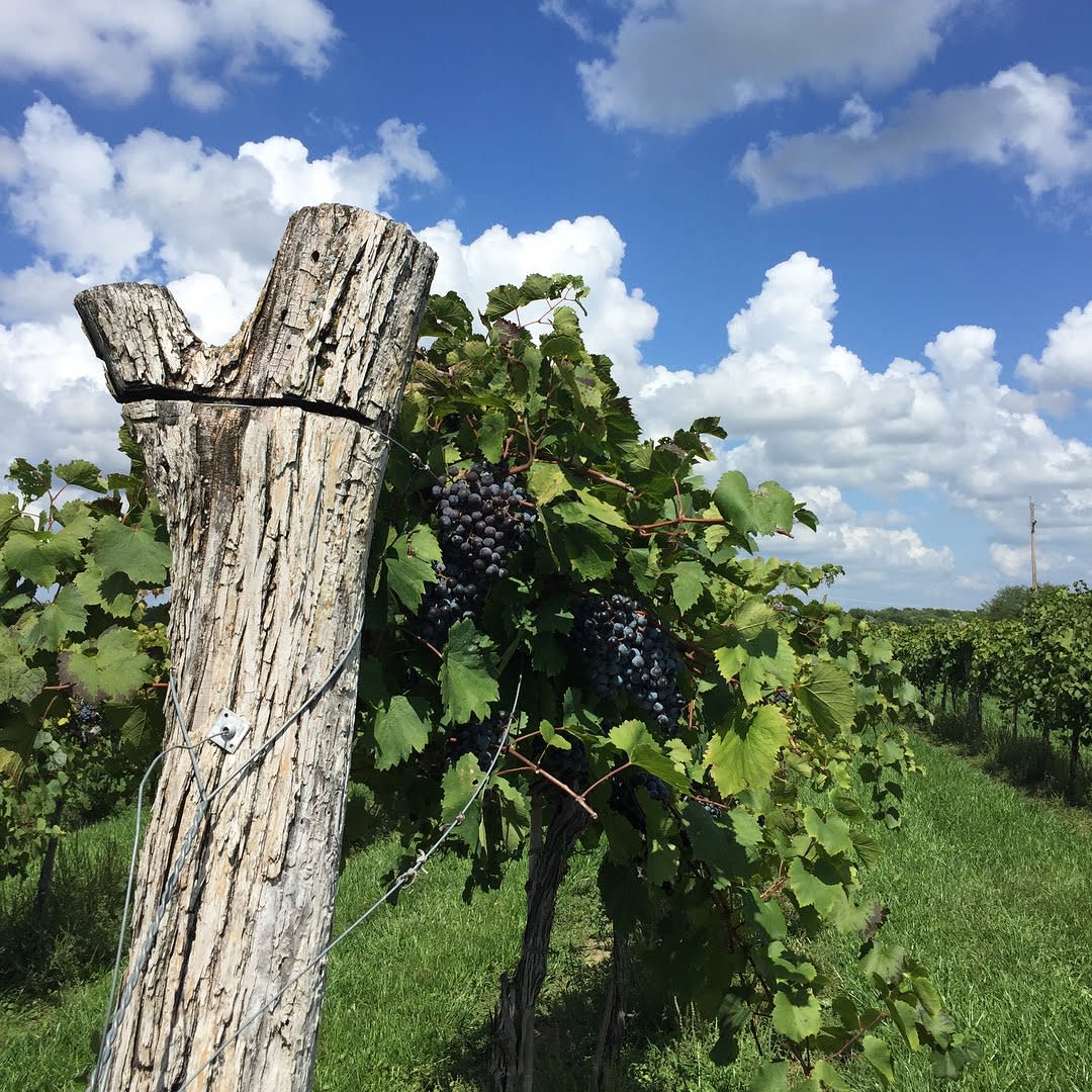 Fall Roaming Offers Close Up Look at Regional Farms and Heritage Sites ...
