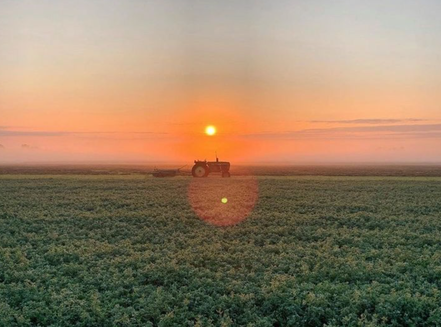 Lenawee: Unveiling the Meaning and Rich History of a Unique Name