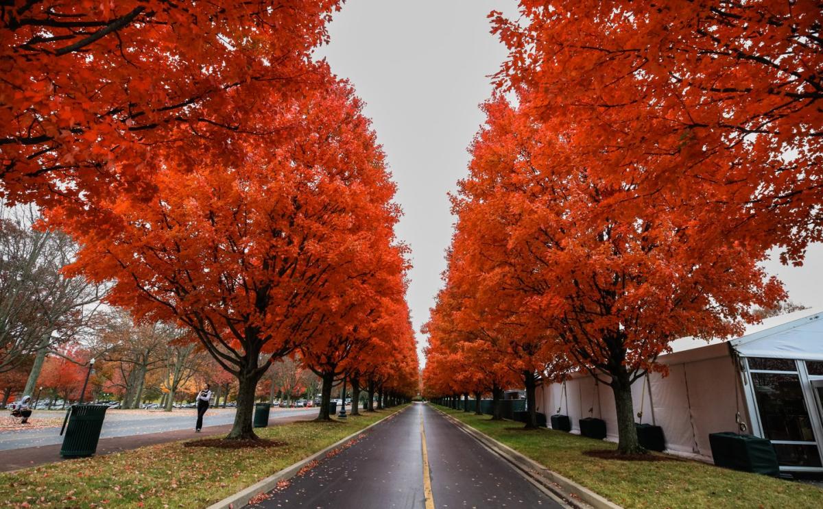 Fall Guide to Lexington, Kentucky