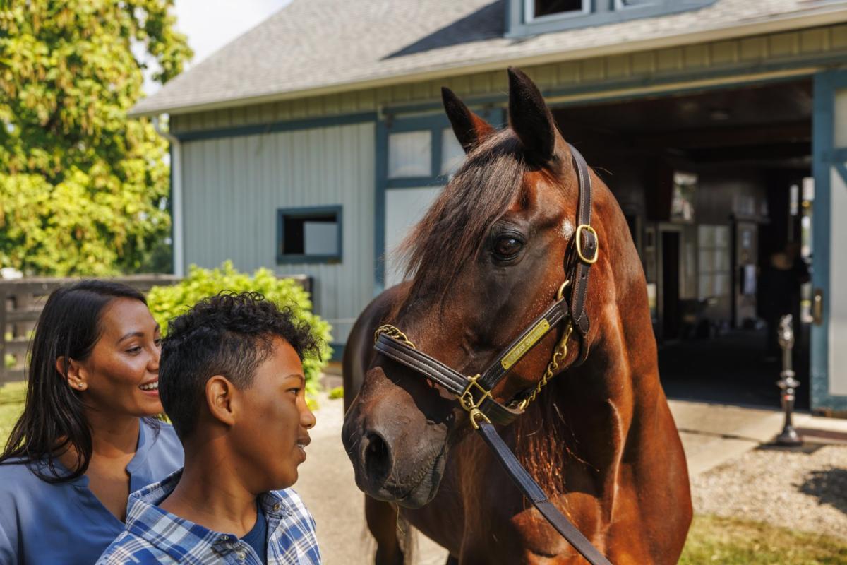A Pocket Guide to Equine Attractions in Lexington, Kentucky