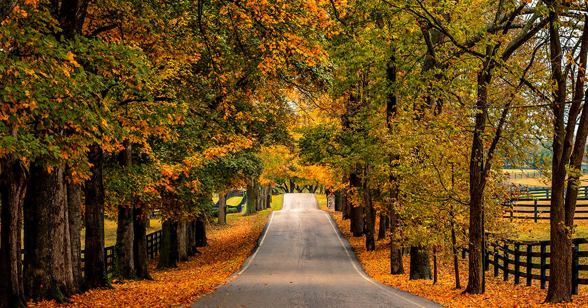 kentucky fall