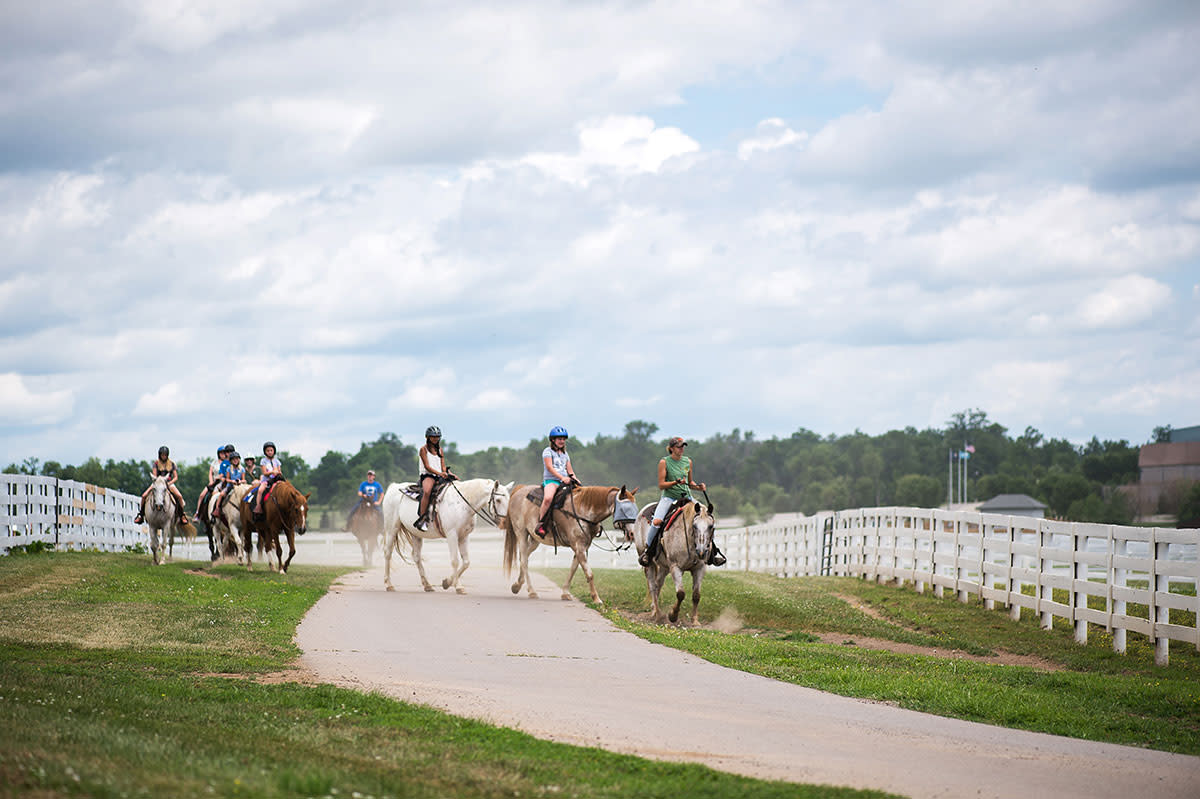 Companion Programs: Lexington, Kentucky