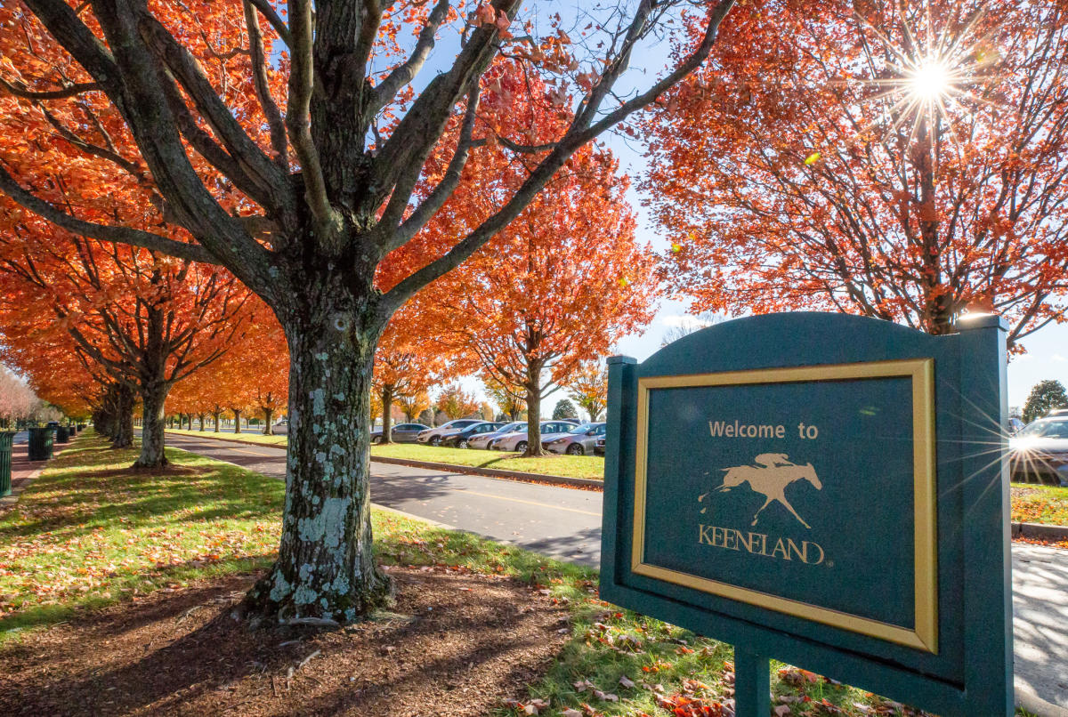 Best of Lexington in October