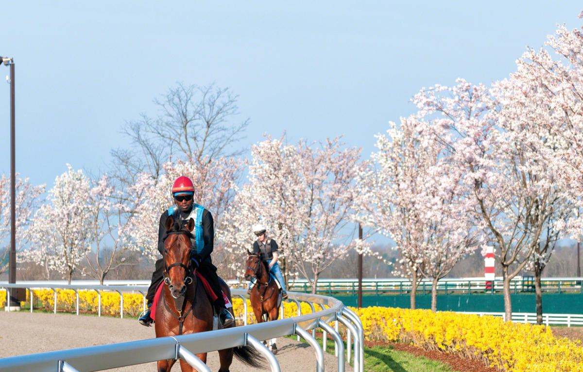 Driving Tours and Walking Tours: Lexington, KY