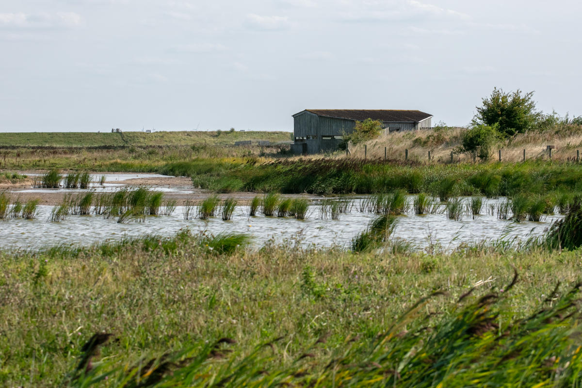 Visit Lincoln | Boston to Frampton Marsh Cycle Route