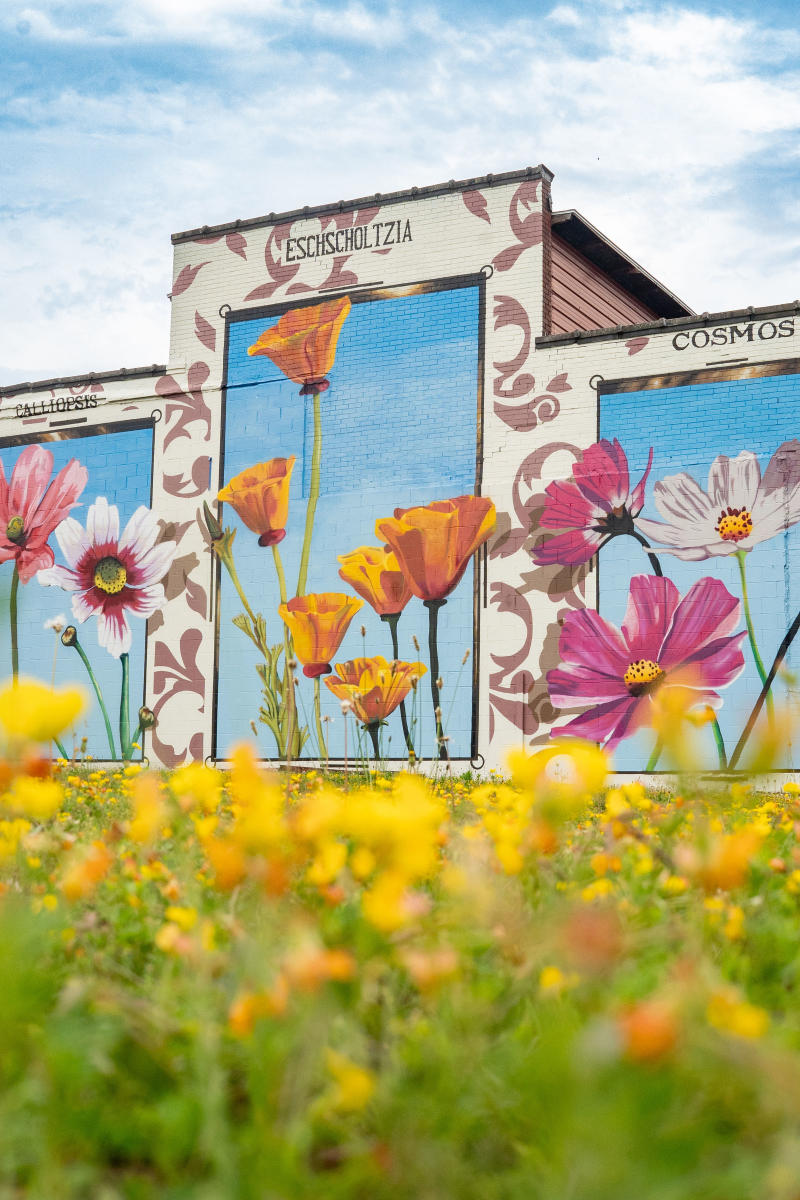 Spend A Day in Nunda, New York