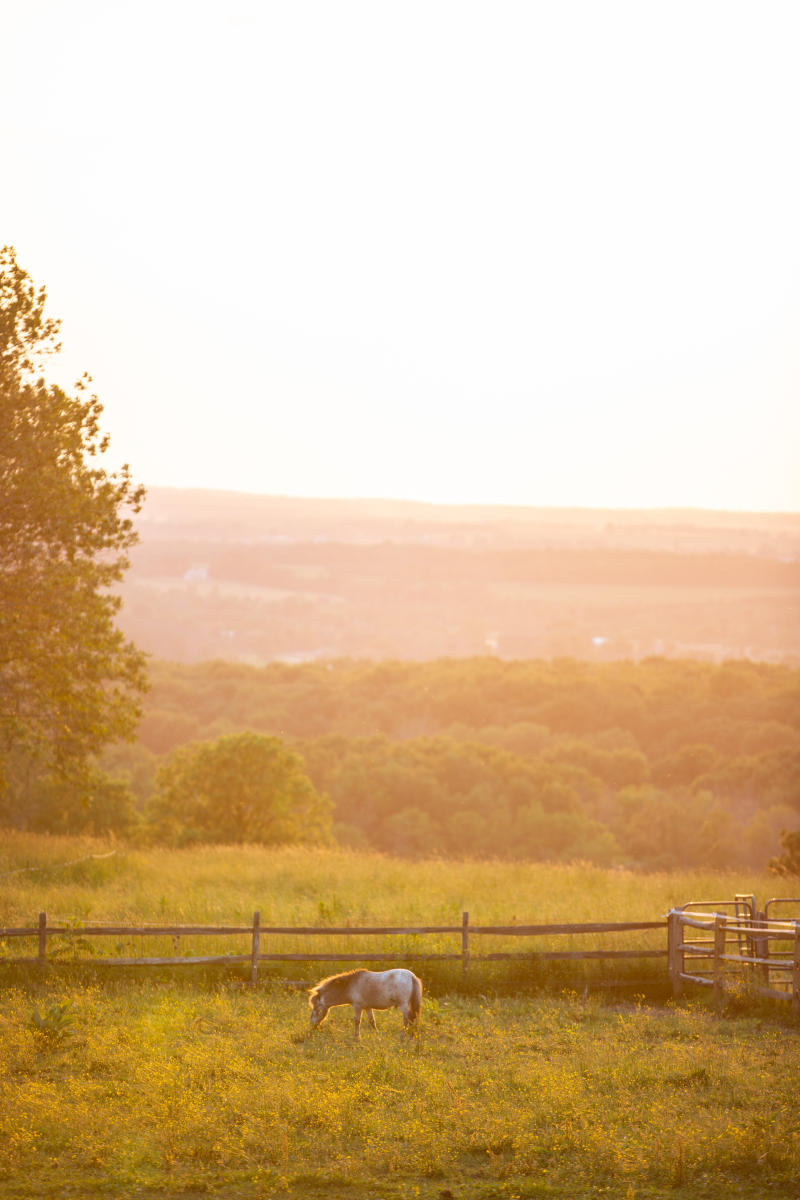 Fall in Love with Wells Barns