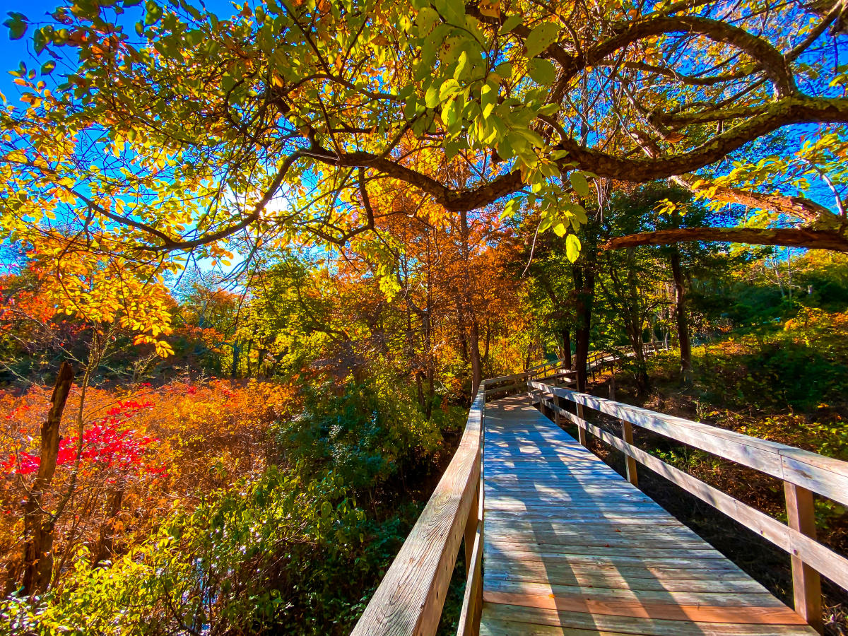 Long Island State Parks & Reserves | Discover Long Island