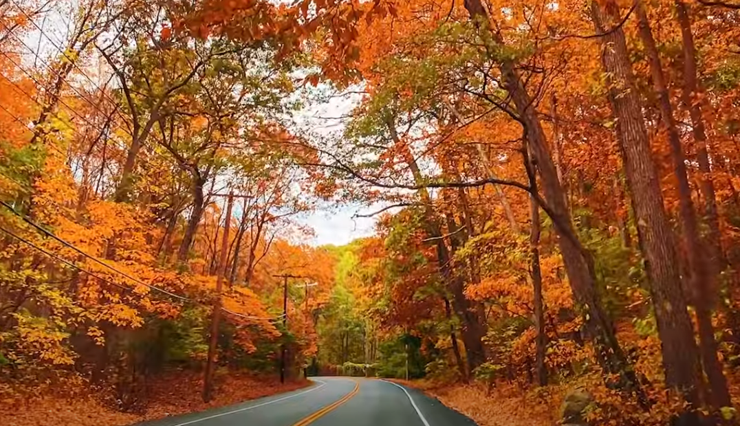 Ultimate Fall Trip | Discover Long Island