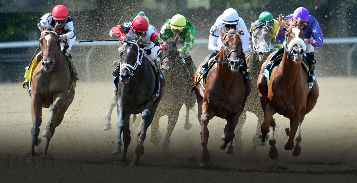 Signature Sporting Events on Long Island | Discover Long Island