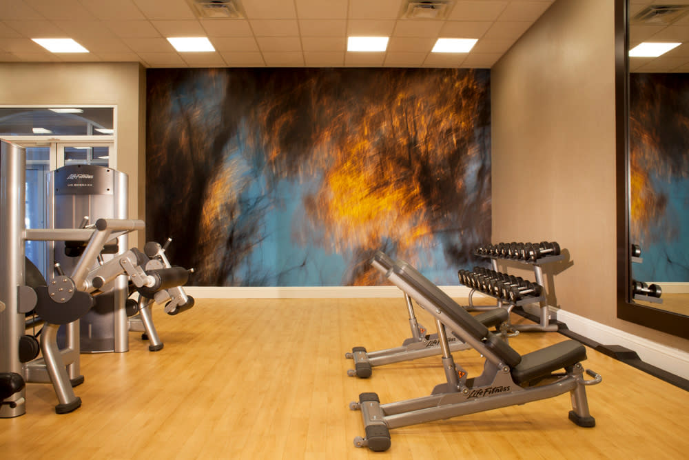 Gyms & Fitness Centers