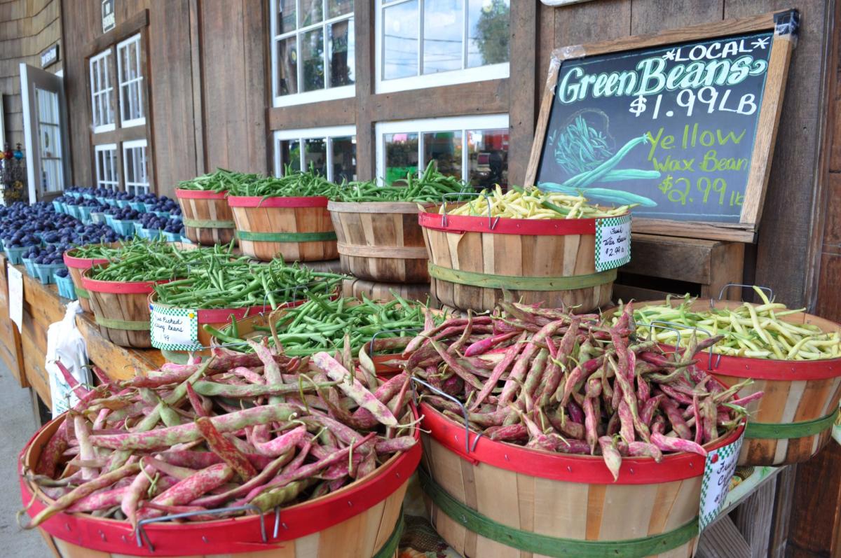 Local Farms, Orchards & Agricultural Regions | DLI