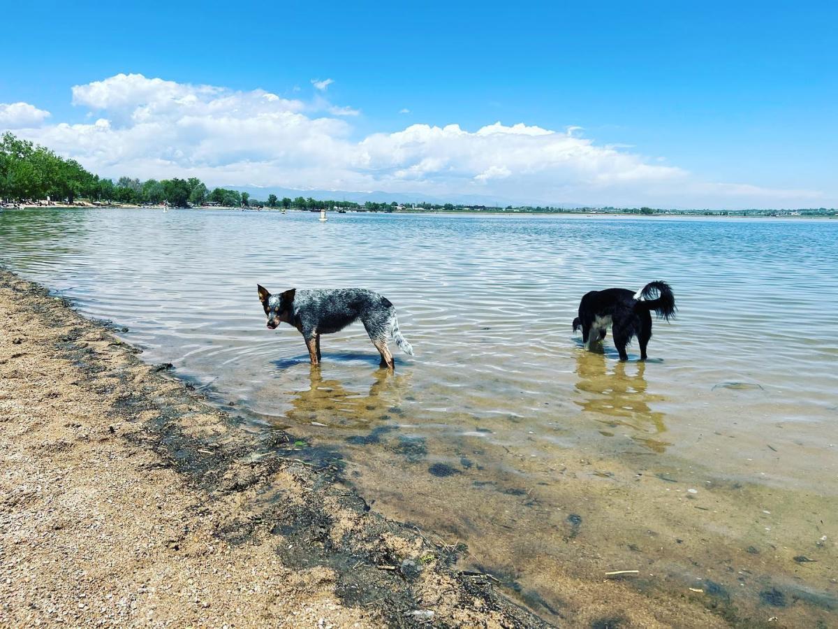 Discover Longmont's Hidden Gems: Unique Experiences for Adventurers