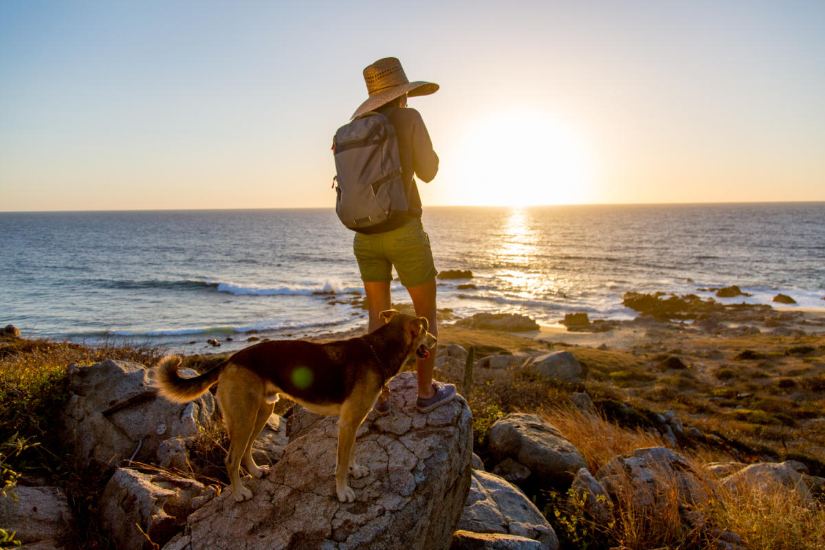 3 New Adventure Tours in Los Cabos