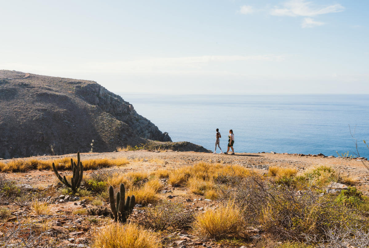 The Best Hiking Trails in Baja California Sur