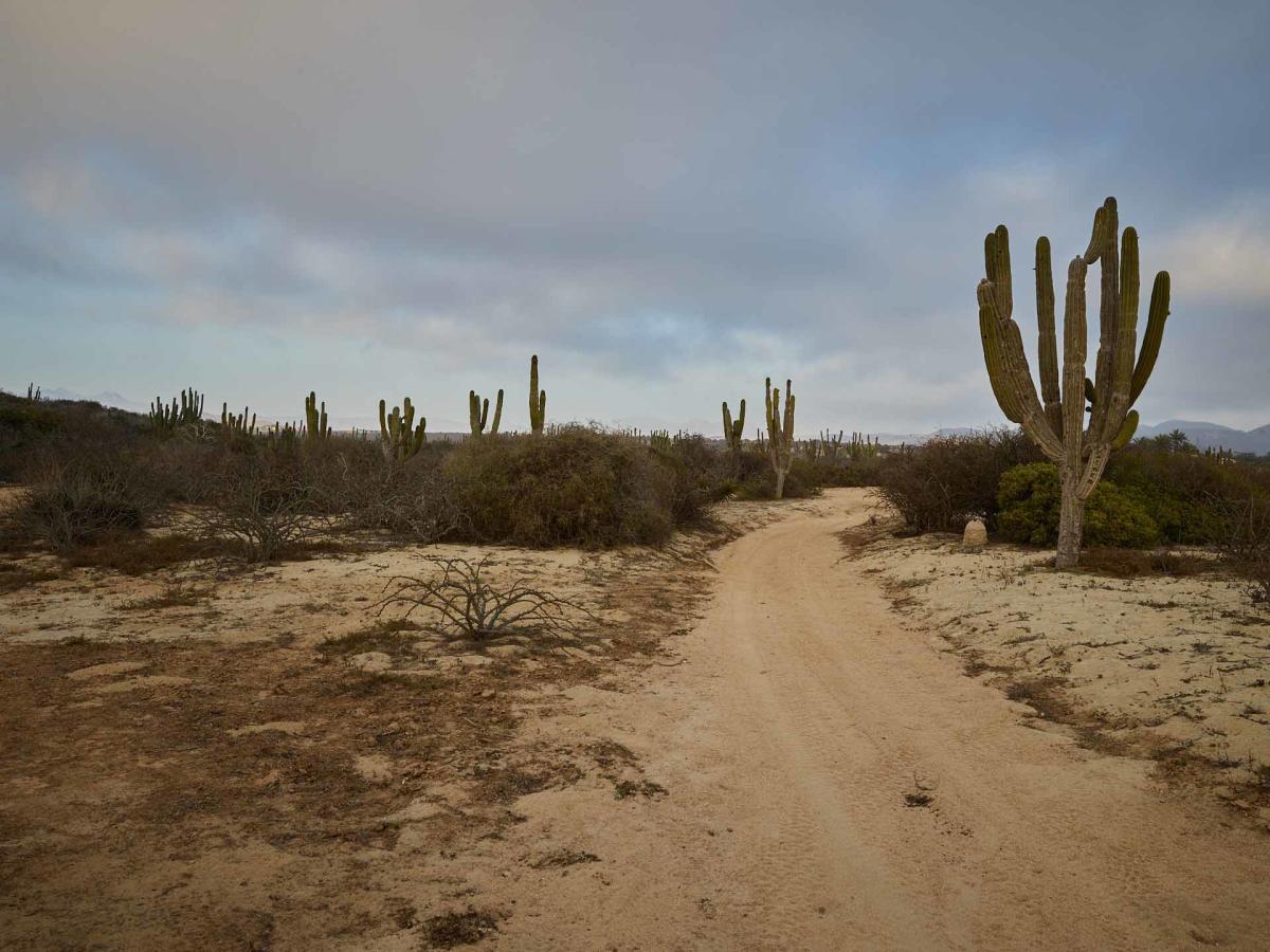 Candelaria - Visit Los Cabos - Day Trips from Cabo: Small Towns to Visit