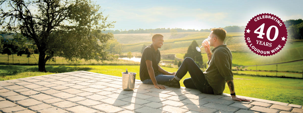 Wineries & Wine Tasting in Loudoun County