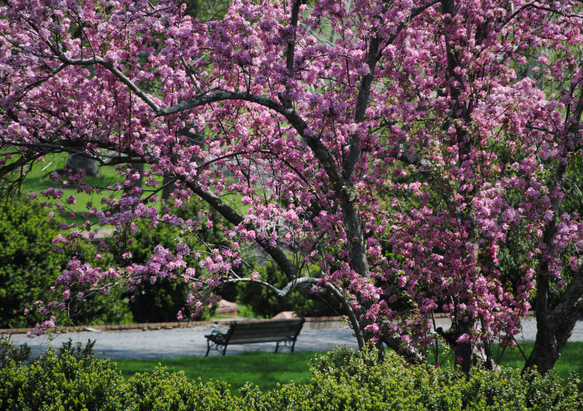 Best Spring Events in Loudoun