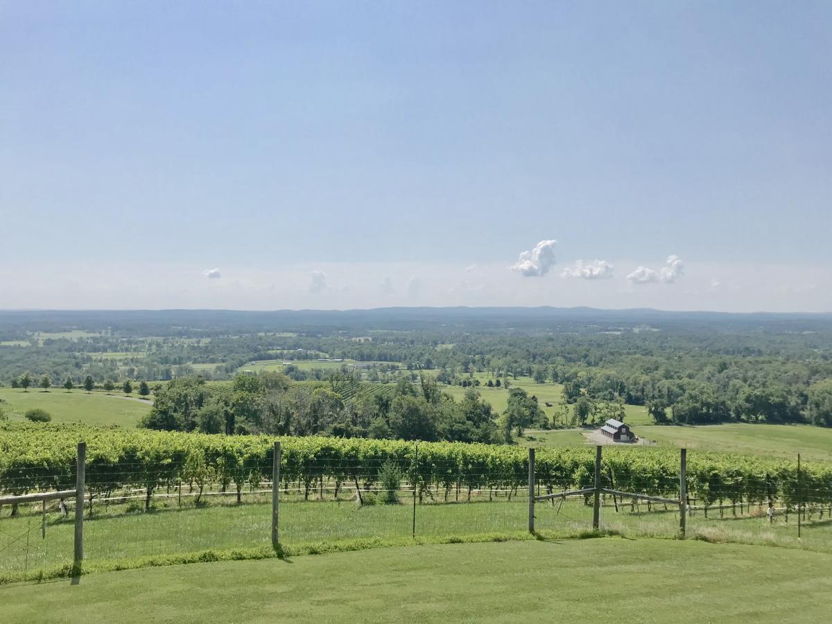 The Best Ways to Explore Loudoun County, VA this Month