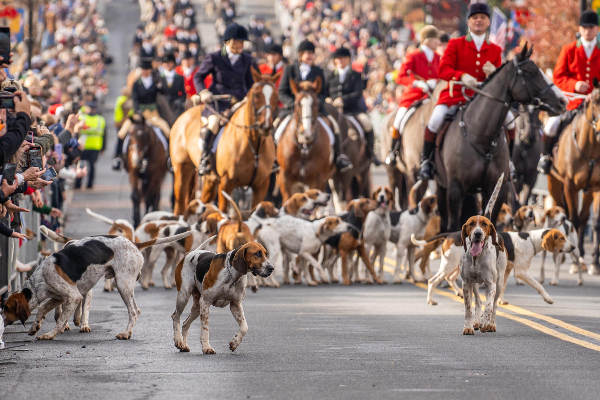 Christmas in Middleburg