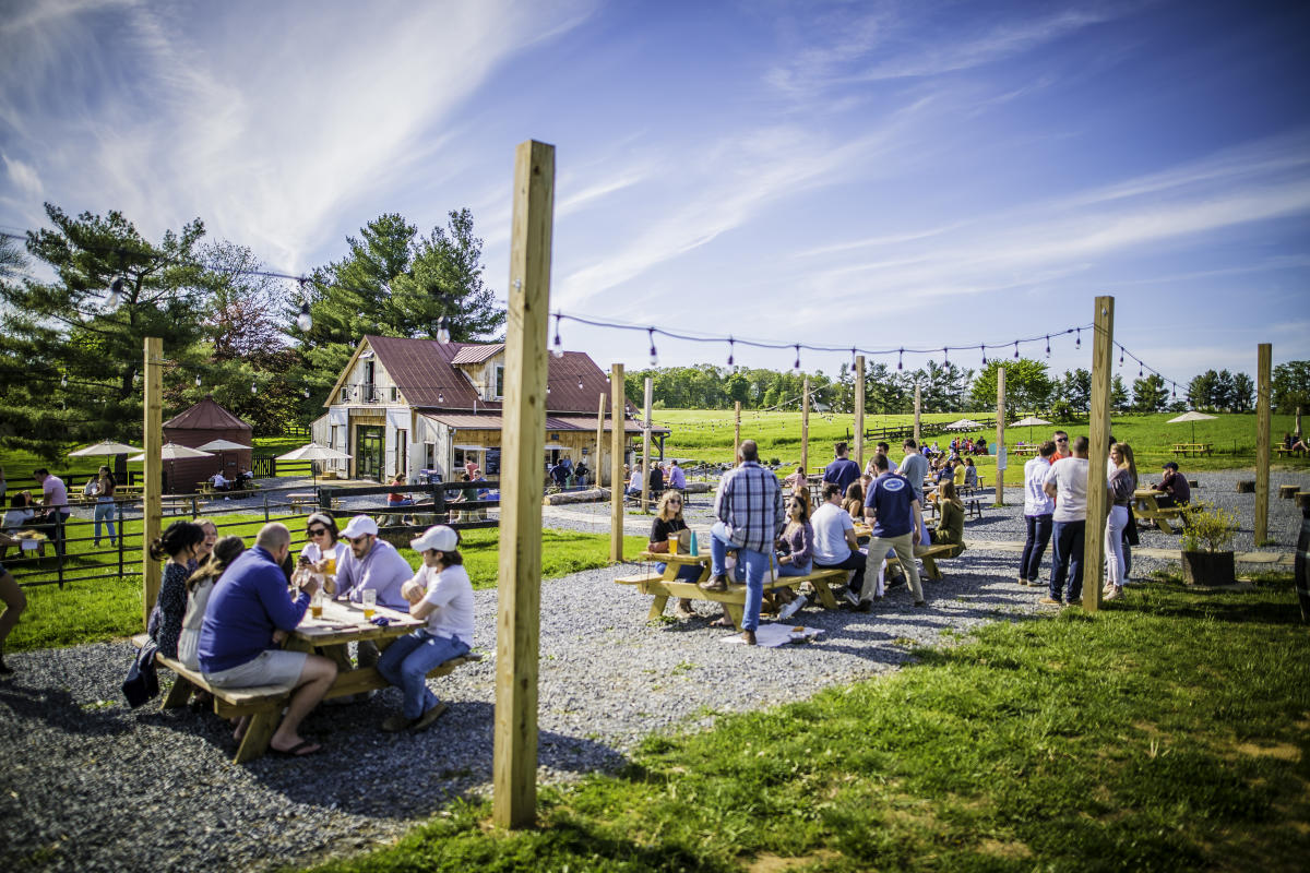 Best Events at Loudoun Wineries and Breweries