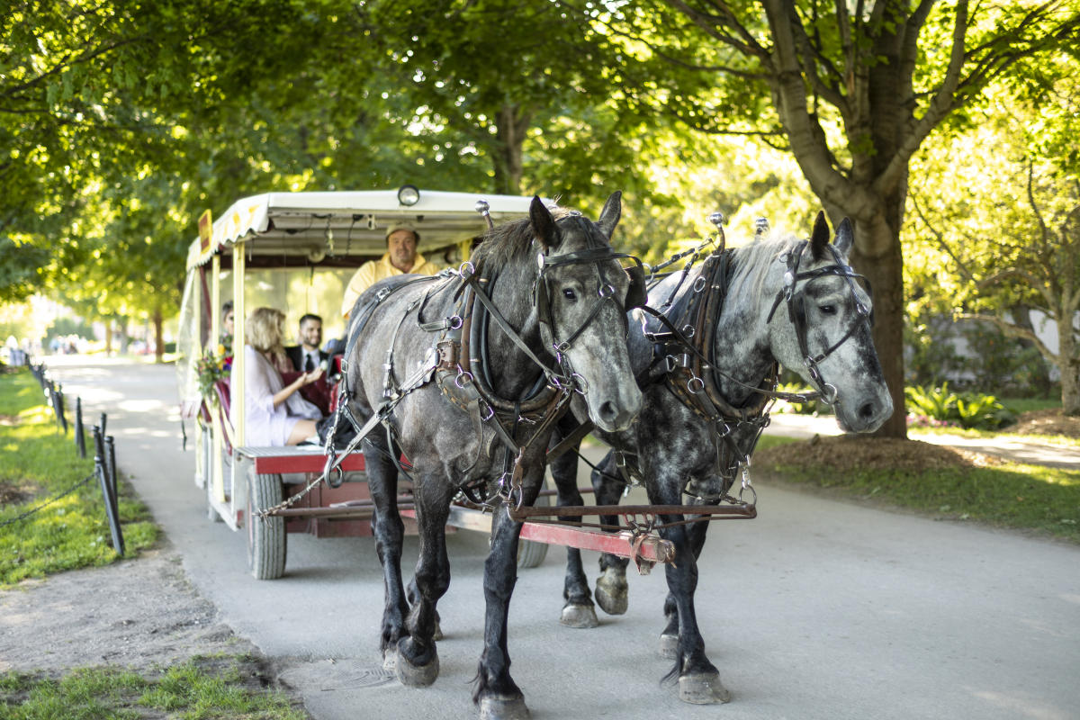 Things To Do On Mackinac Island Mi Do Mackinac Island Tourism