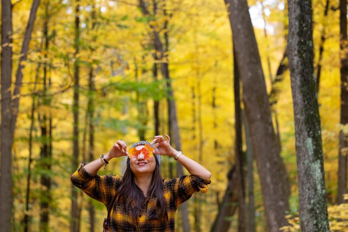 Things To Do in Fall | Madison, WI | Hiking, Food & Sports