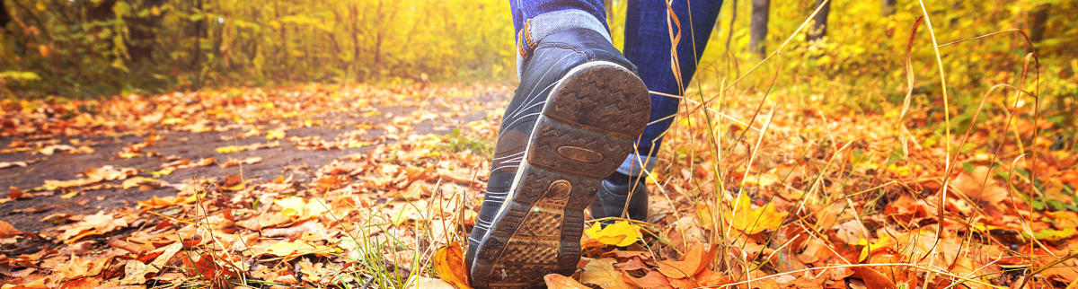 5 Essential Fall Hiking Spots