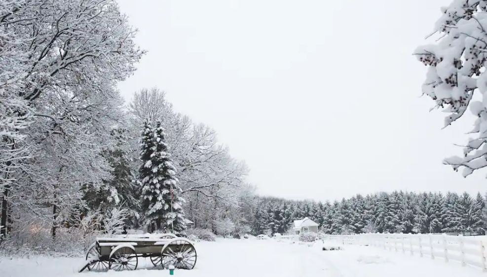 7 Cozy Stays For a Winter Getaway in Madison