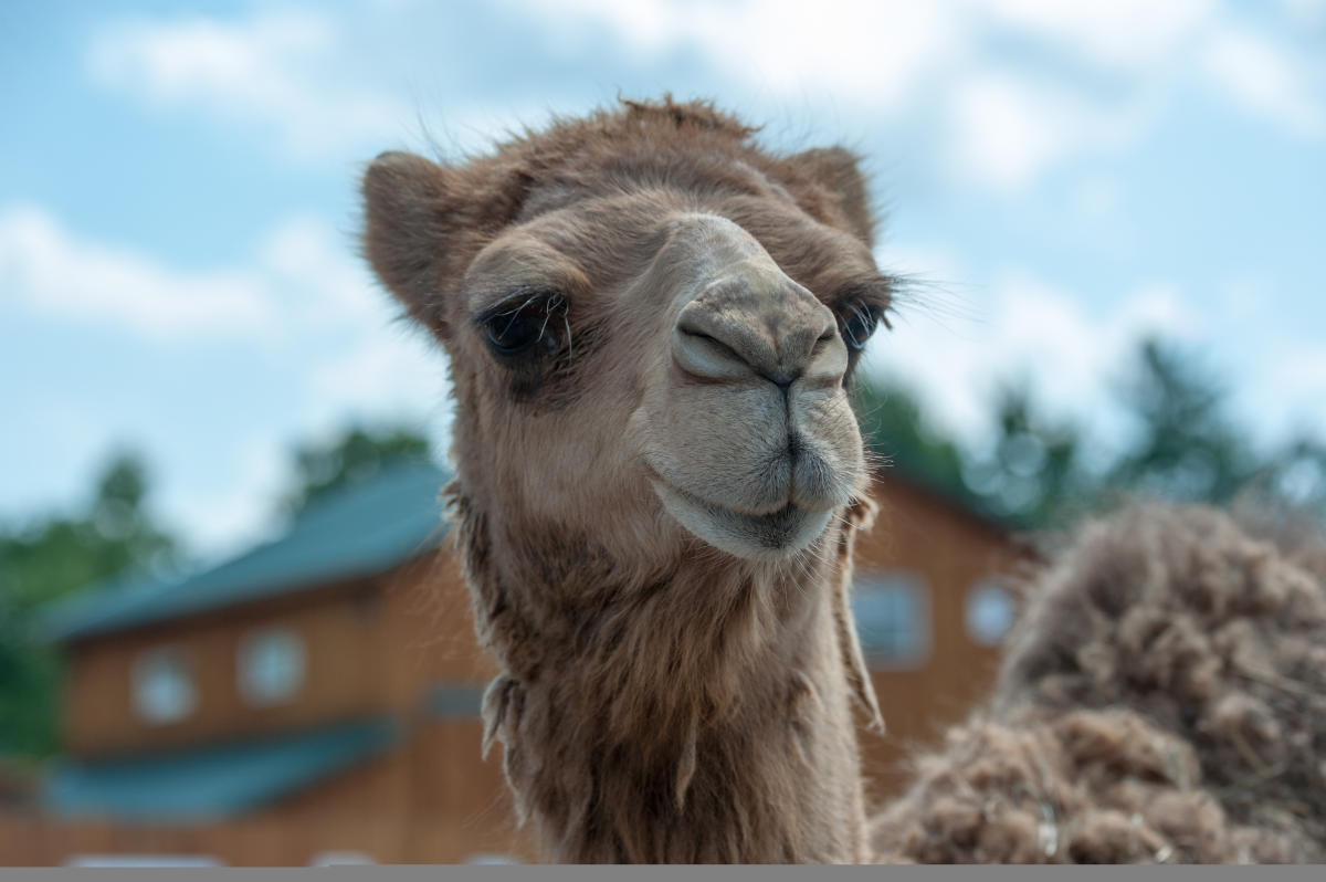 Things to do in Madison County, Central New York