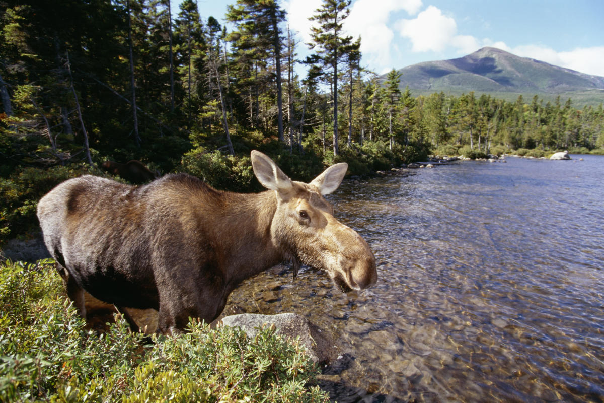 The Maine Highlands - Maine Tourism Association