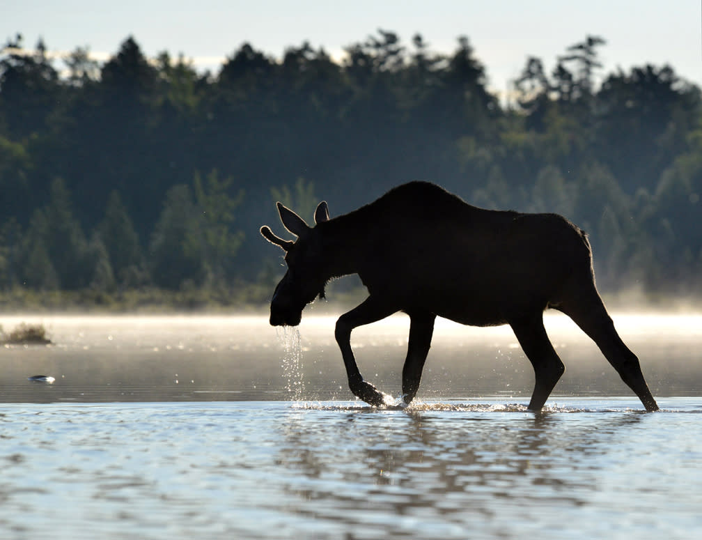 Maine Outdoor Guides | Find Experts for Your Outdoor Adventures