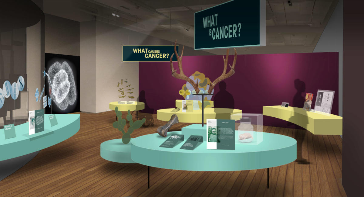 Science Museum Group Announces World-First Exhibition 'Cancer ...