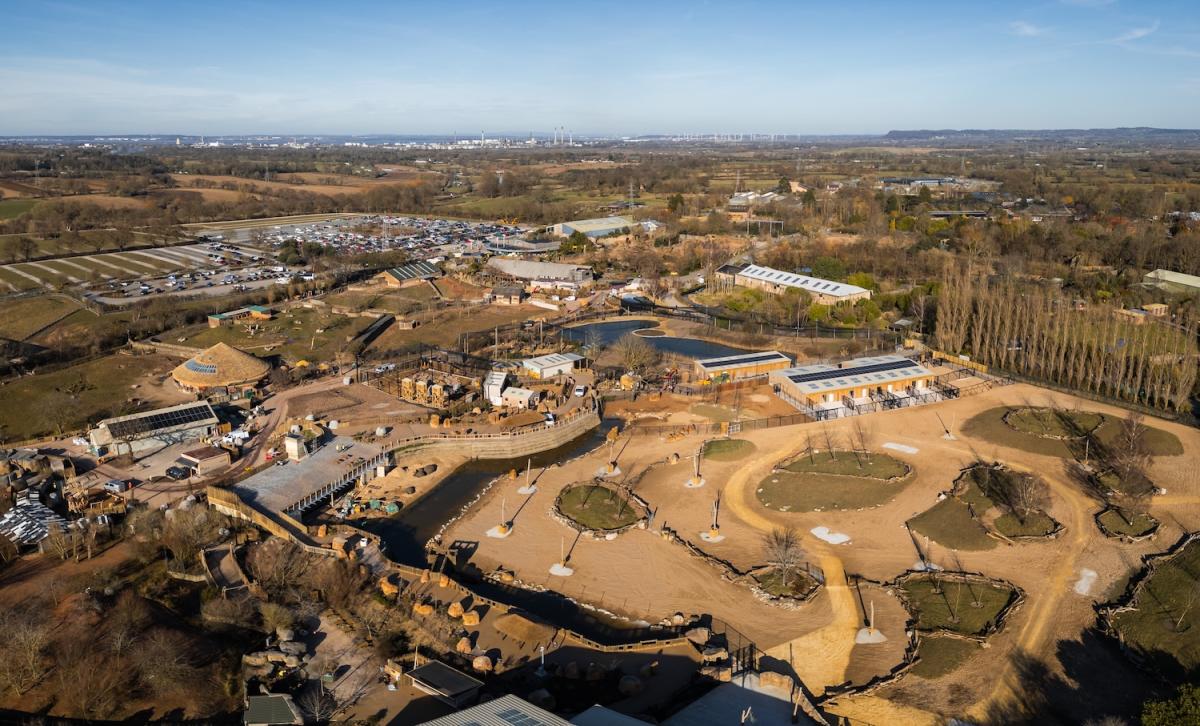Chester Zoo's huge new 'African savannah' opens