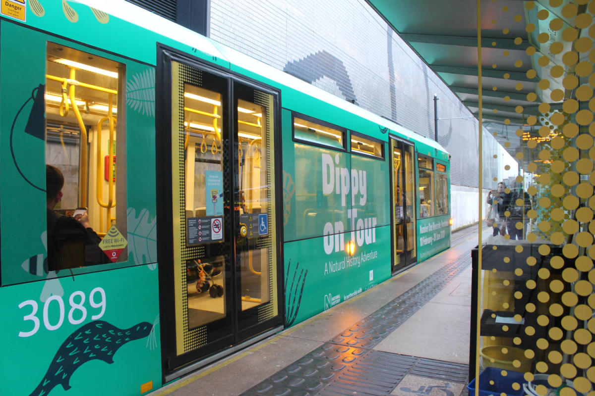 Special dinosaur tram hits the network to celebrate Dippy on Tour in ...