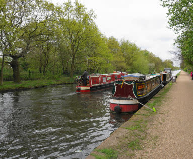 Top 5 Walks in Trafford