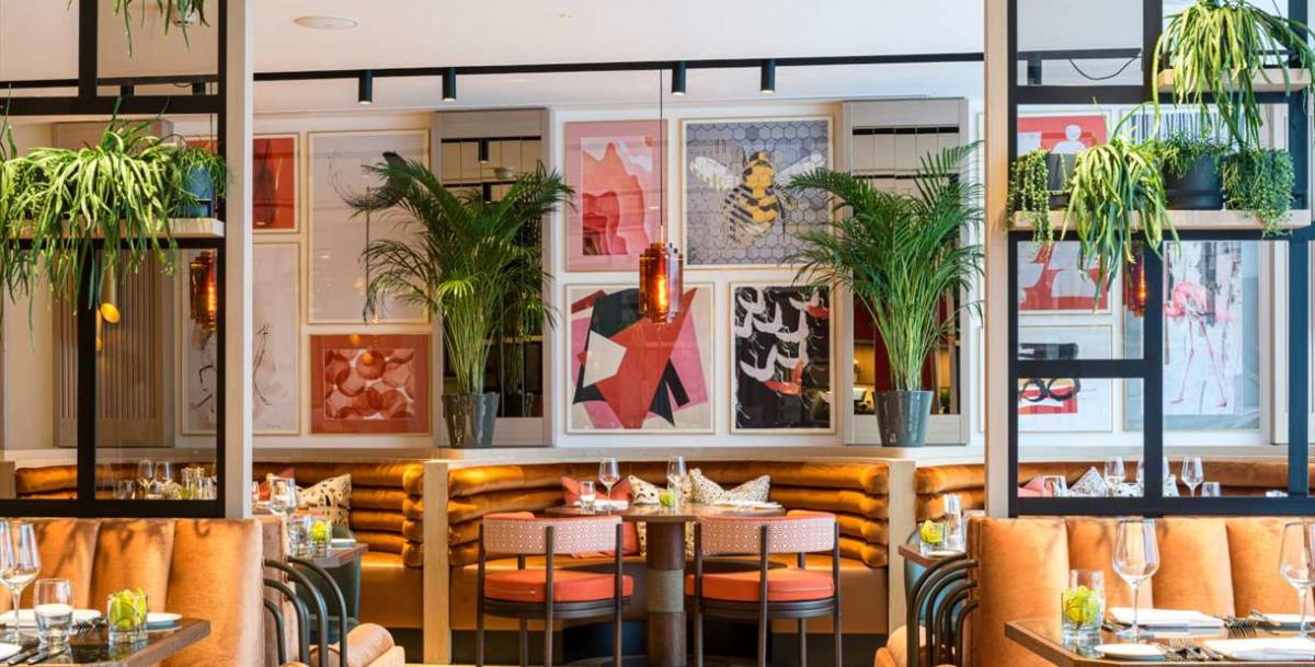 New 5-star Award-winning set Menu that won't Break the Bank