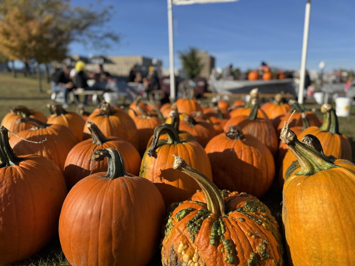 Fall Events in Manitowoc | Sputnikfest, Oktoberfest & Pumpkin Palooza