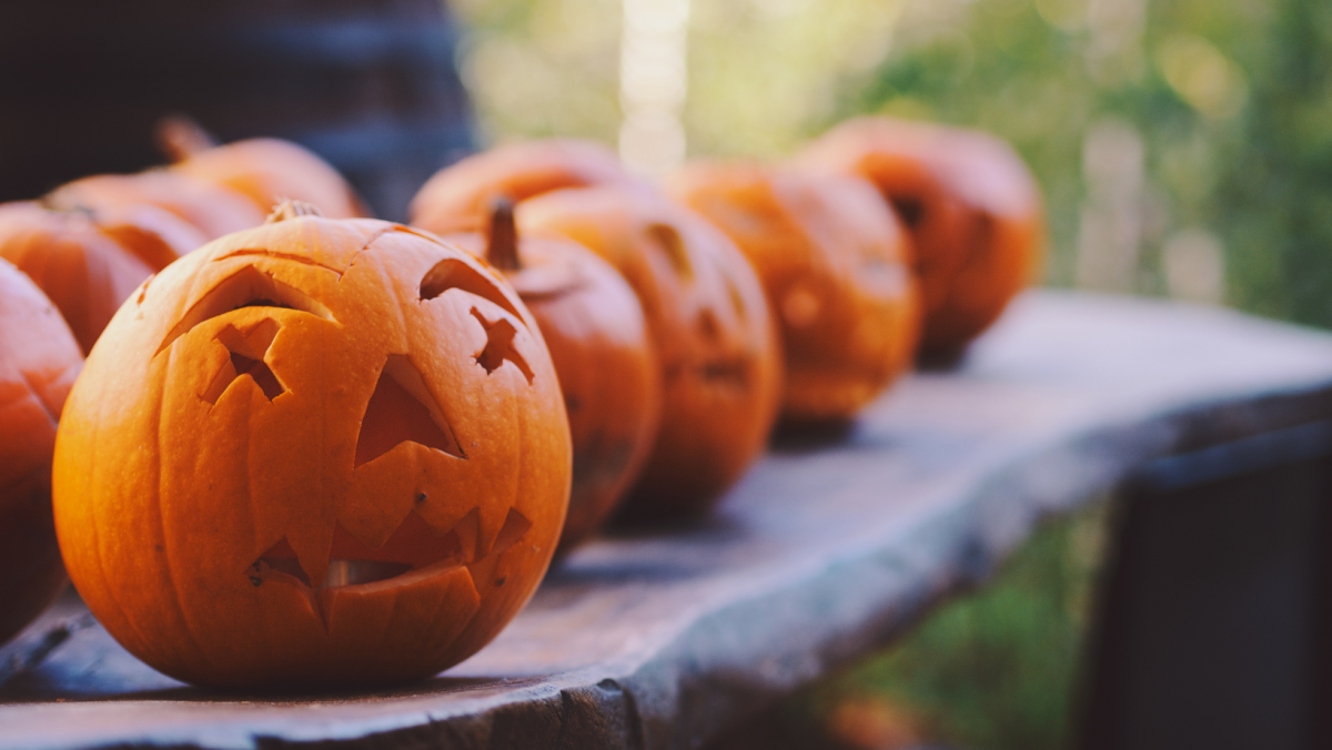 Inaugural Pumpkin Palooza To Decorate Downtown Manitowoc inaugural-pumpkin-palooza-to-decorate-downtown-manitowoc