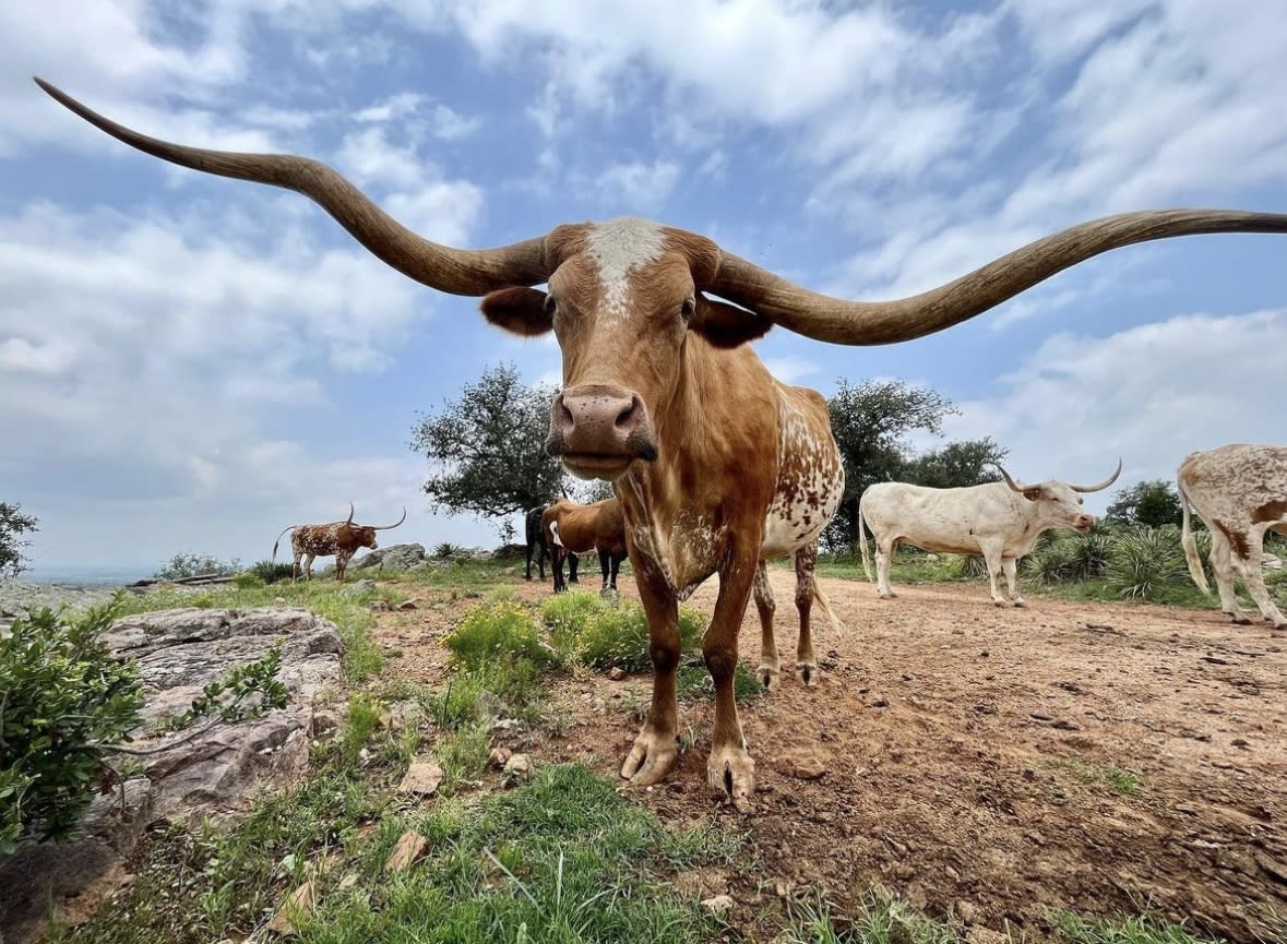 Explore - Visit Marble Falls