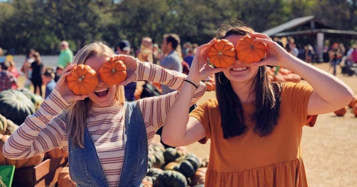 Fall at Sweet Berry Farms
