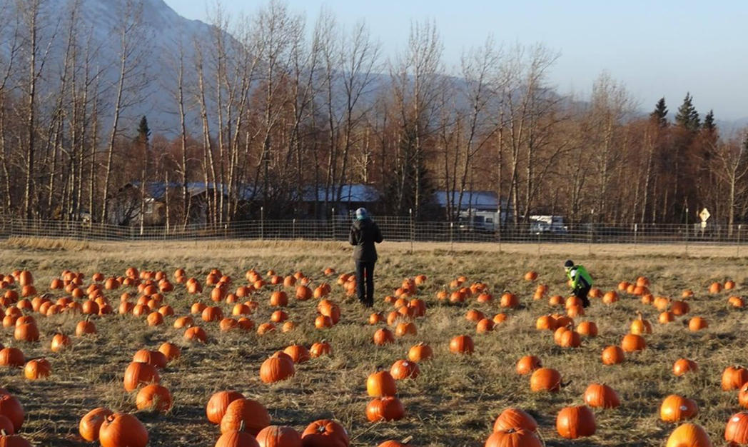 Reindeer Farm Fall Festival | Mat-Su CVB