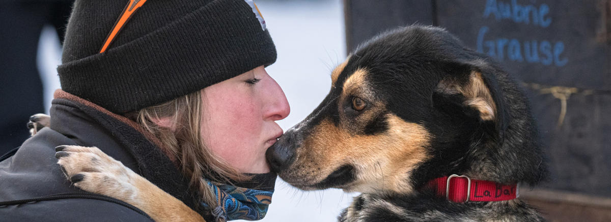 The 2025 Iditarod Sled Dog Race | Event Information