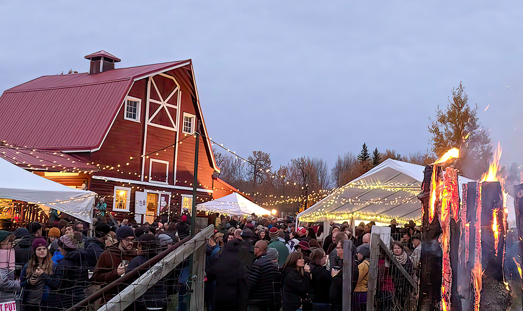 Celebrate Oxtoberfest at the Musk Ox Farm in Palmer